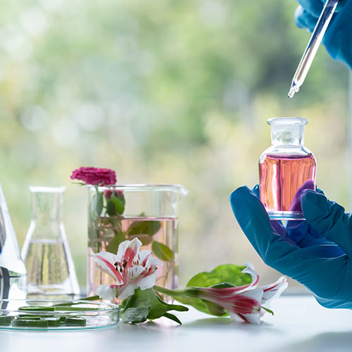 Botanical Extracts & Oils — K.G. International